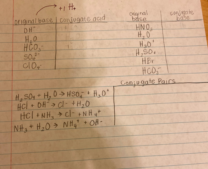 Solved '+1 Hi original base conjugate acid base OH- HO H00 - | Chegg.com