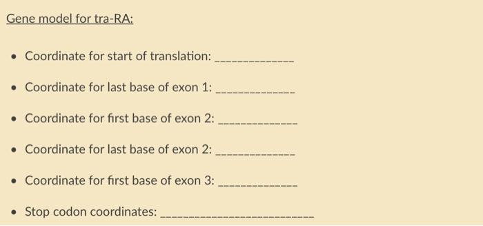 Solved Construct the gene model for tra-RA:What are the | Chegg.com