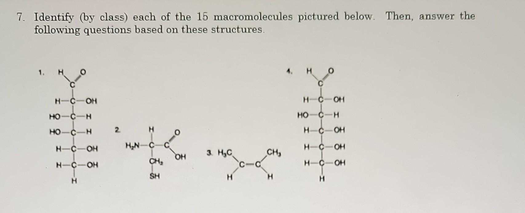 Solved 7. Identify (by class) each of the 15 macromolecules | Chegg.com