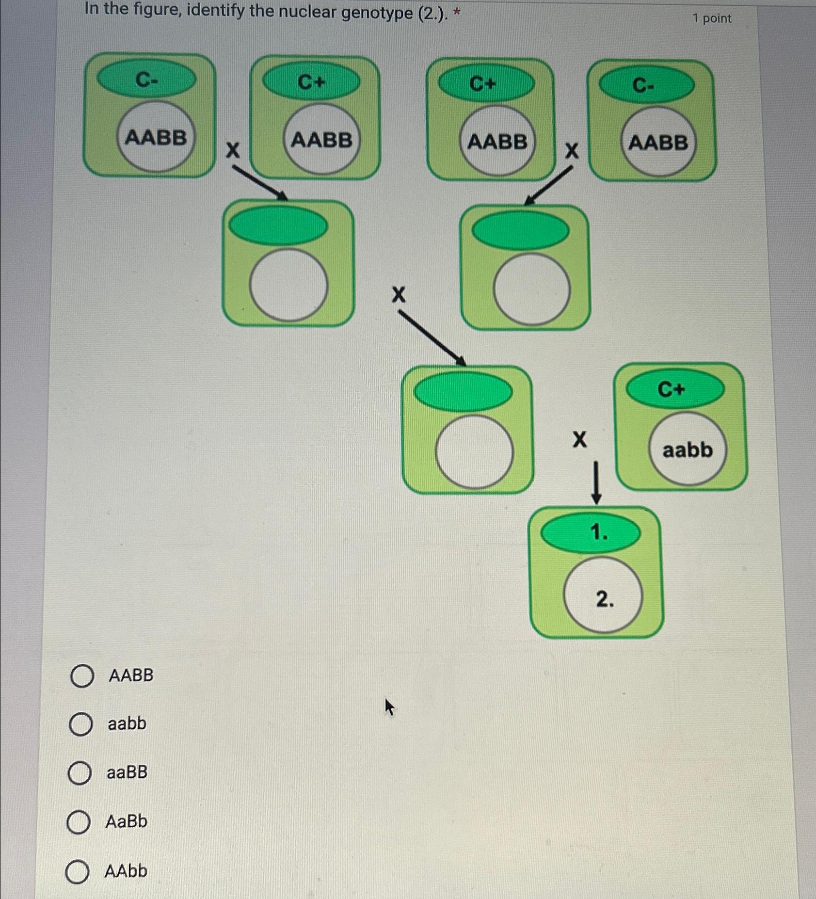 Solved In the figure, identify the nuclear genotype (2.). *1 | Chegg.com
