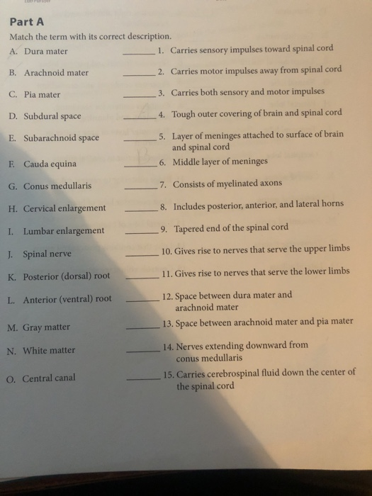Solved Part A Match the term with its correct description. | Chegg.com