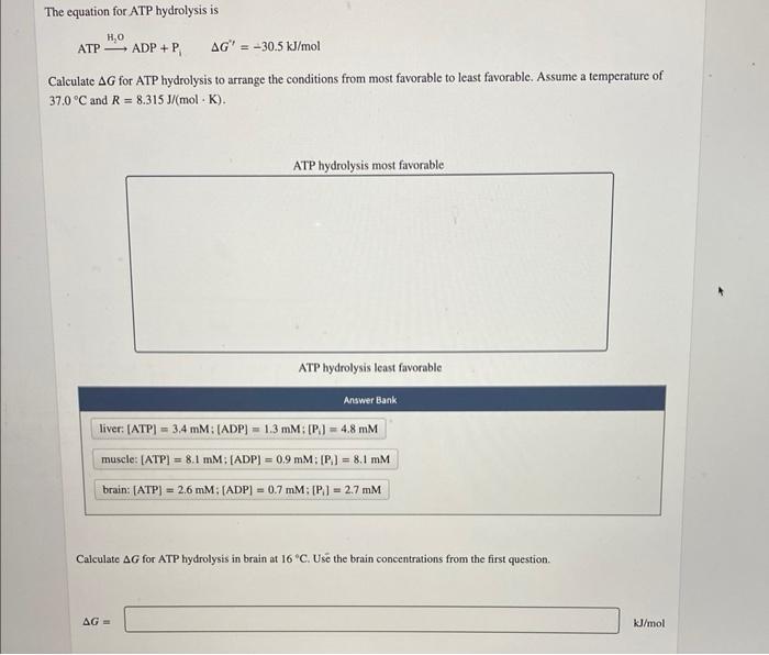 Solved The equation for ATP hydrolysis is | Chegg.com