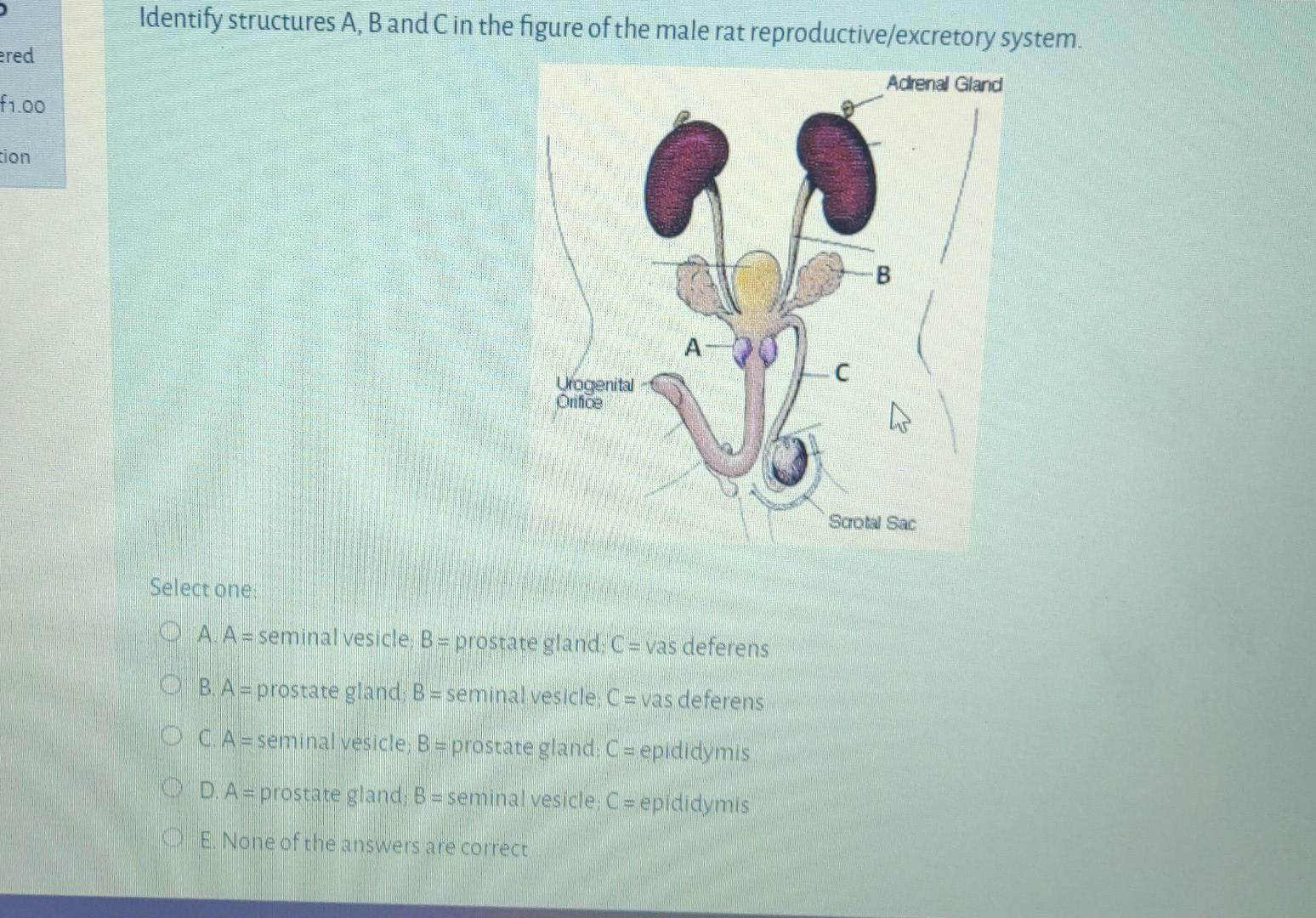Solved Identify structures A, B and C in the figure of the | Chegg.com