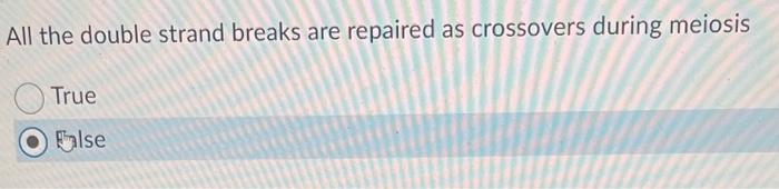 Solved All the double strand breaks are repaired as | Chegg.com