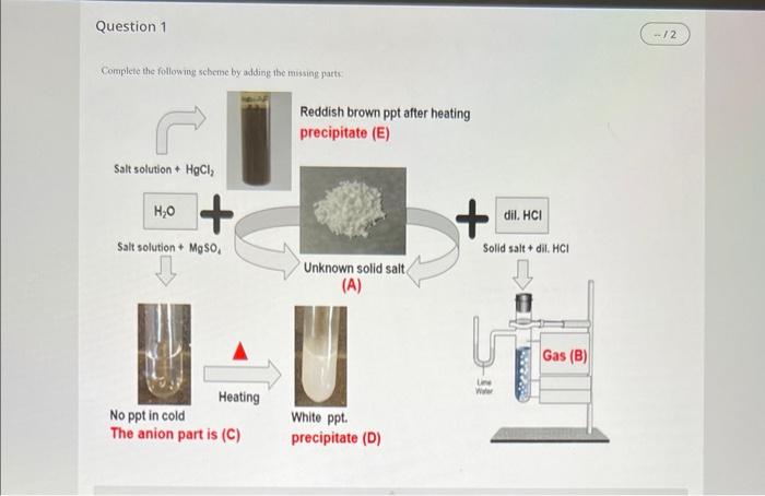 Solved Complete the followiog scheme by adding the missing | Chegg.com