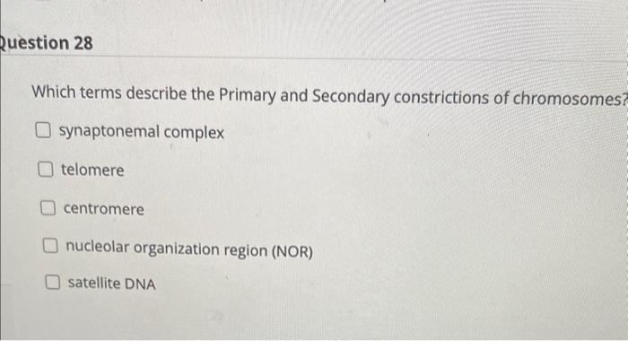 Solved Which terms describe the Primary and Secondary | Chegg.com