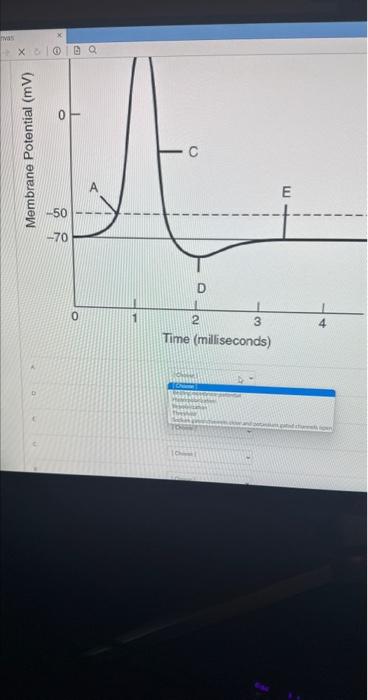 Solved Time (milliseconds) | Chegg.com