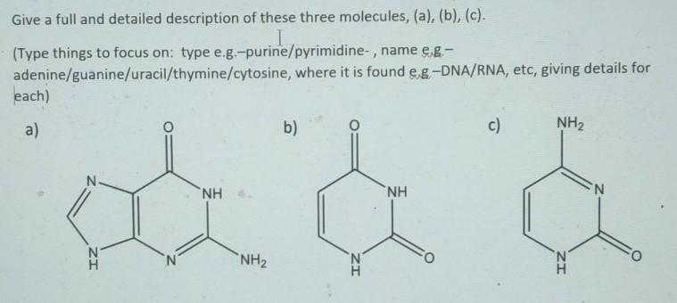 Solved Give a full and detailed description of these three | Chegg.com