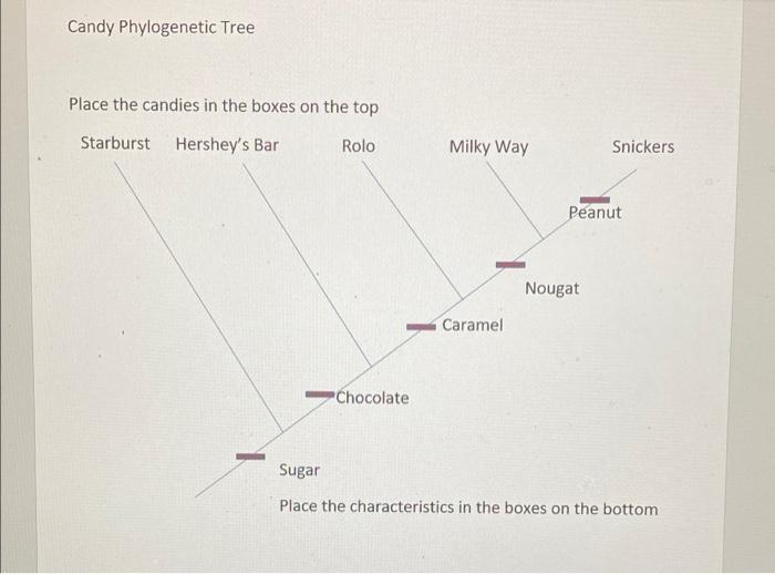 Solved Using the table showing characteristics and the Candy | Chegg.com