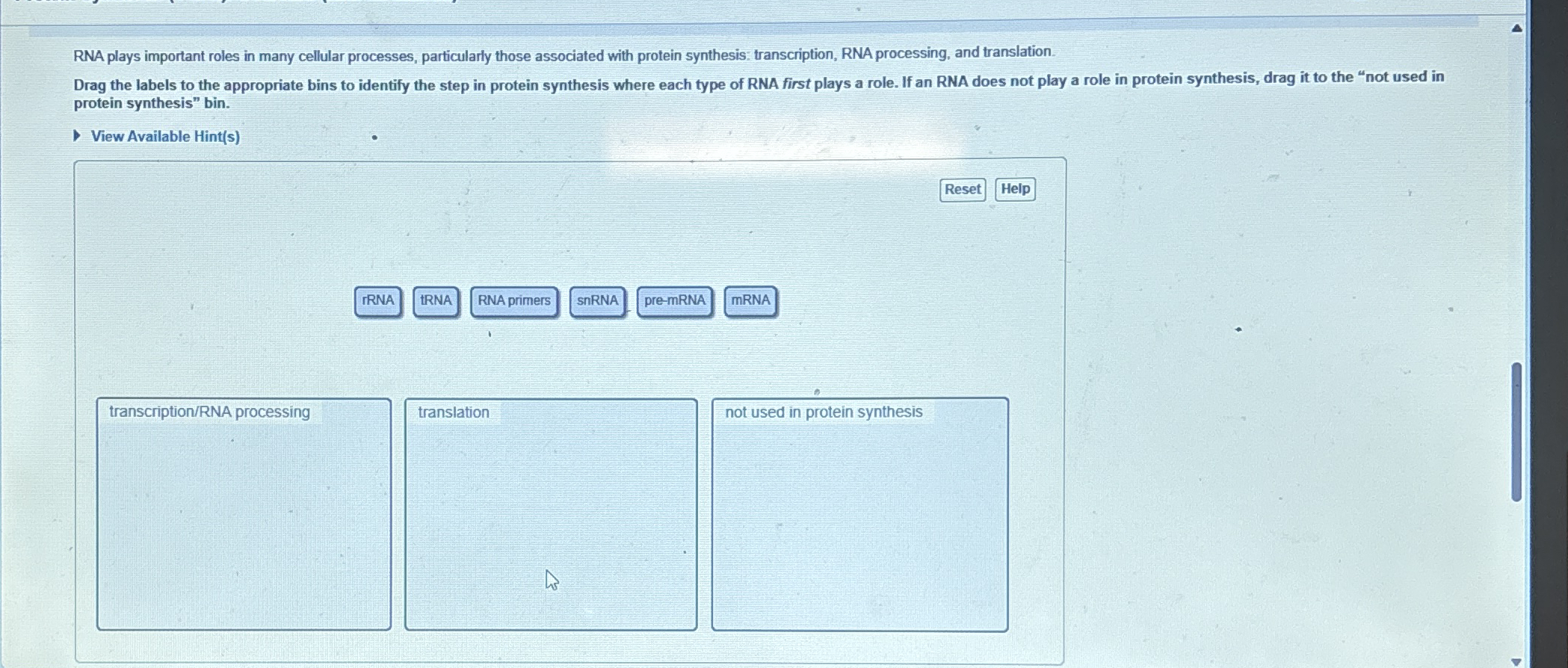 Solved RNA plays important roles in many cellular processes, | Chegg.com