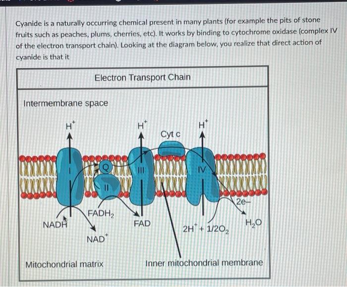 Solved Cyanide is a naturally occurring chemical present in | Chegg.com