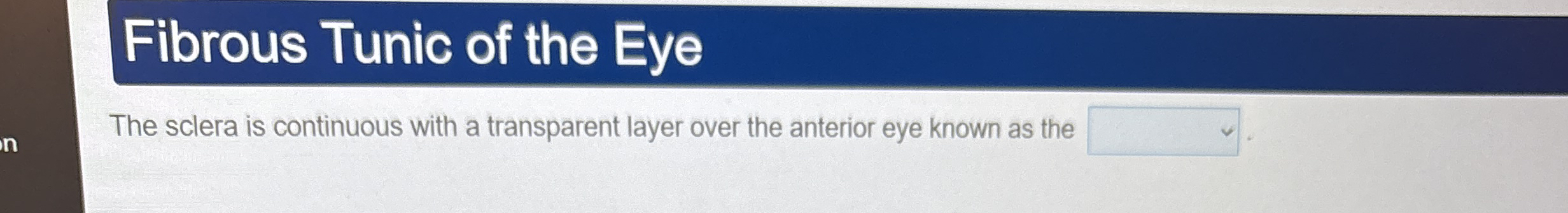 Solved Fibrous Tunic of the EyeThe sclera is continuous with | Chegg.com