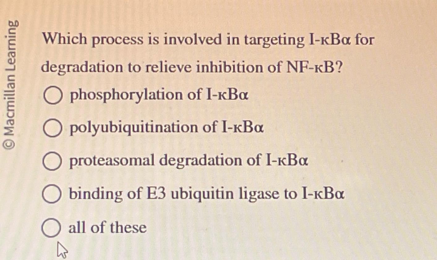 Solved Which process is involved in targeting I-κBα ﻿for | Chegg.com