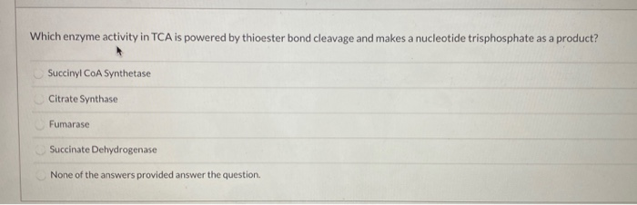 Solved Which enzyme activity in TCA is powered by thioester | Chegg.com