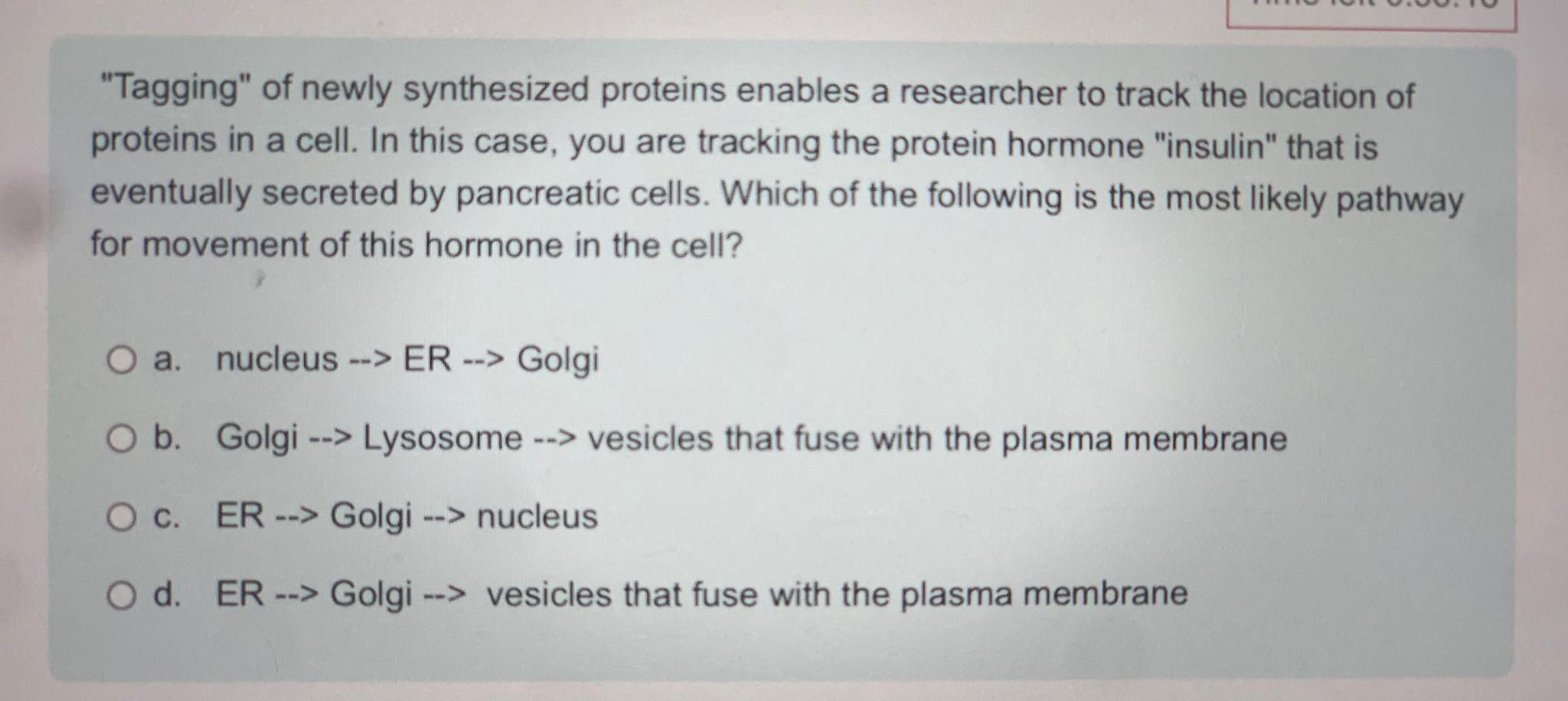 Solved "Tagging" of newly synthesized proteins enables a | Chegg.com