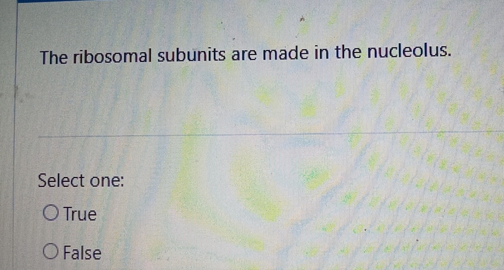 Solved The ribosomal subunits are made in the | Chegg.com