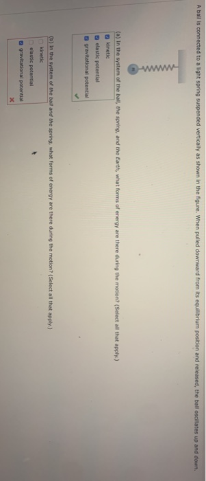 Solved A ball is connected to a light spring suspended | Chegg.com