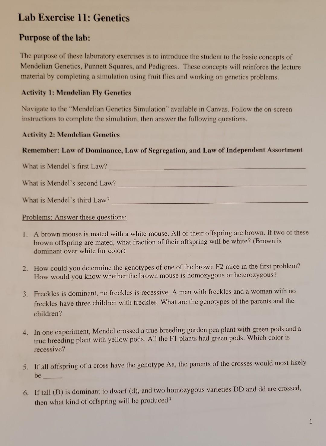 Solved Lab Exercise 11: Genetics Purpose of the lab: The | Chegg.com