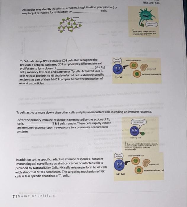 Solved BIO 169 FA14 Antibodies may directly inactivate | Chegg.com