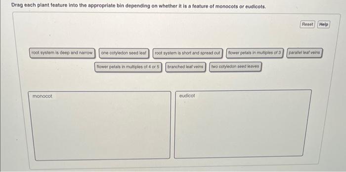Solved Drag each plant feature into the appropriate bin | Chegg.com