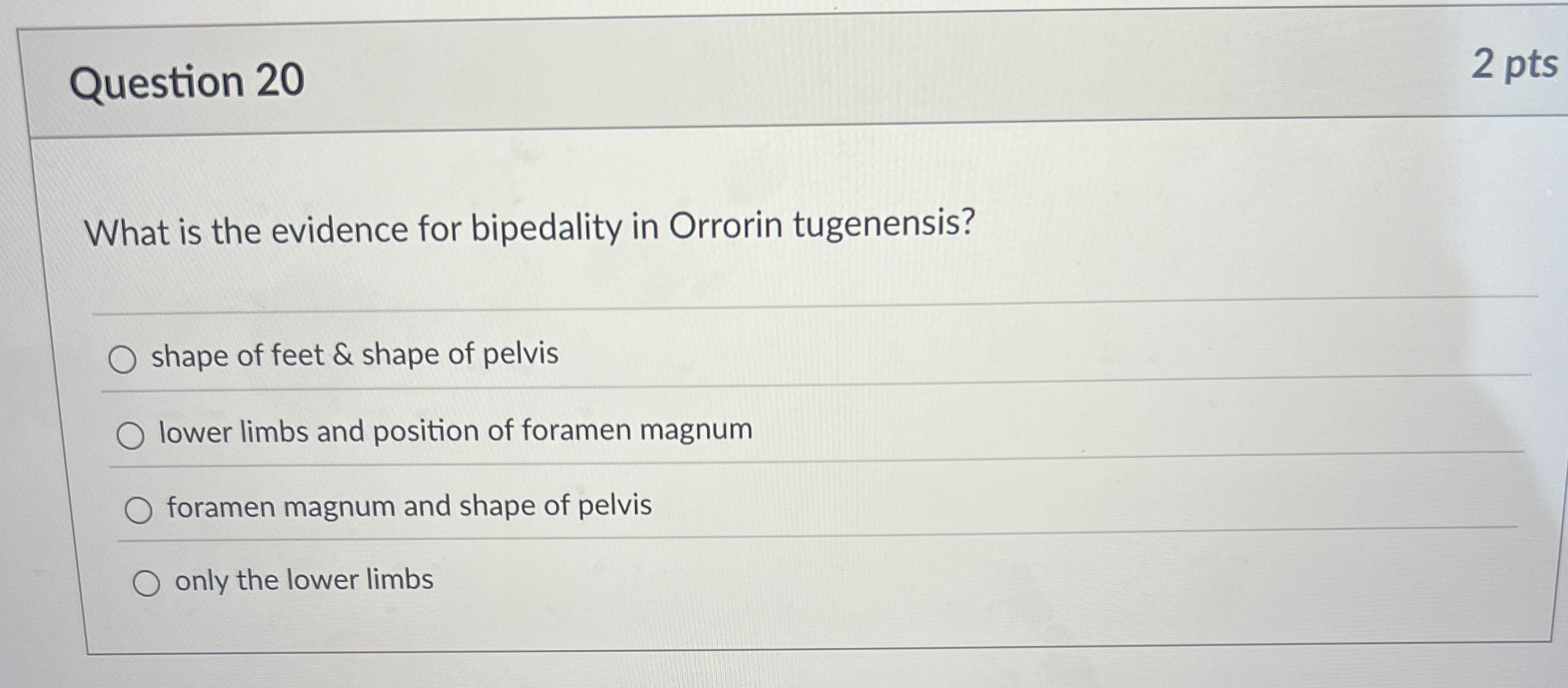 Solved Question 202 ﻿ptsWhat is the evidence for bipedality | Chegg.com