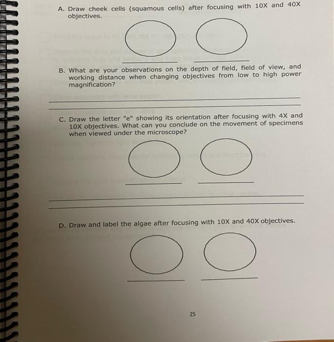 can you answer all of these questions | Chegg.com