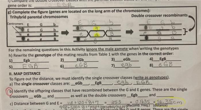 Solved can u help with B:Identify the offspring classes that | Chegg.com
