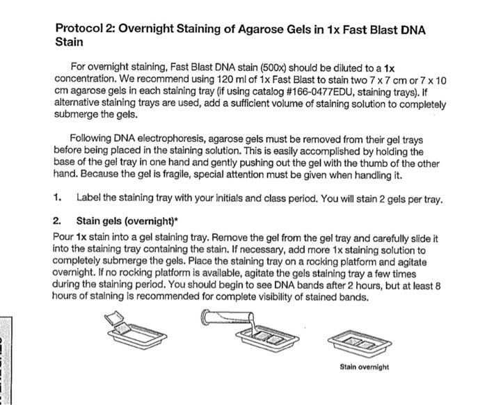 Solved Staining DNA with Fast Blast DNA Stain (Laboratory | Chegg.com