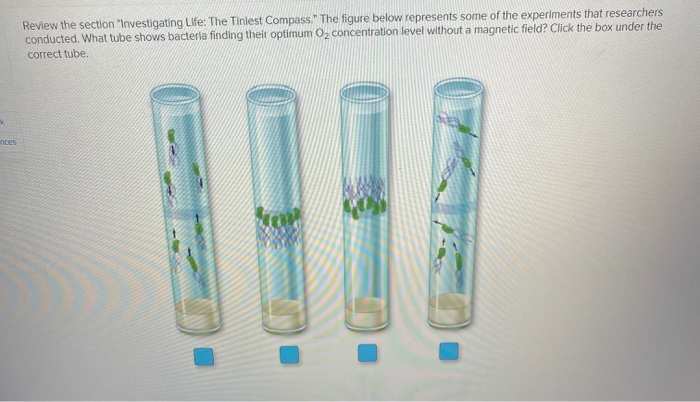 Solved Review the section "Investigating Life: The Tiniest | Chegg.com