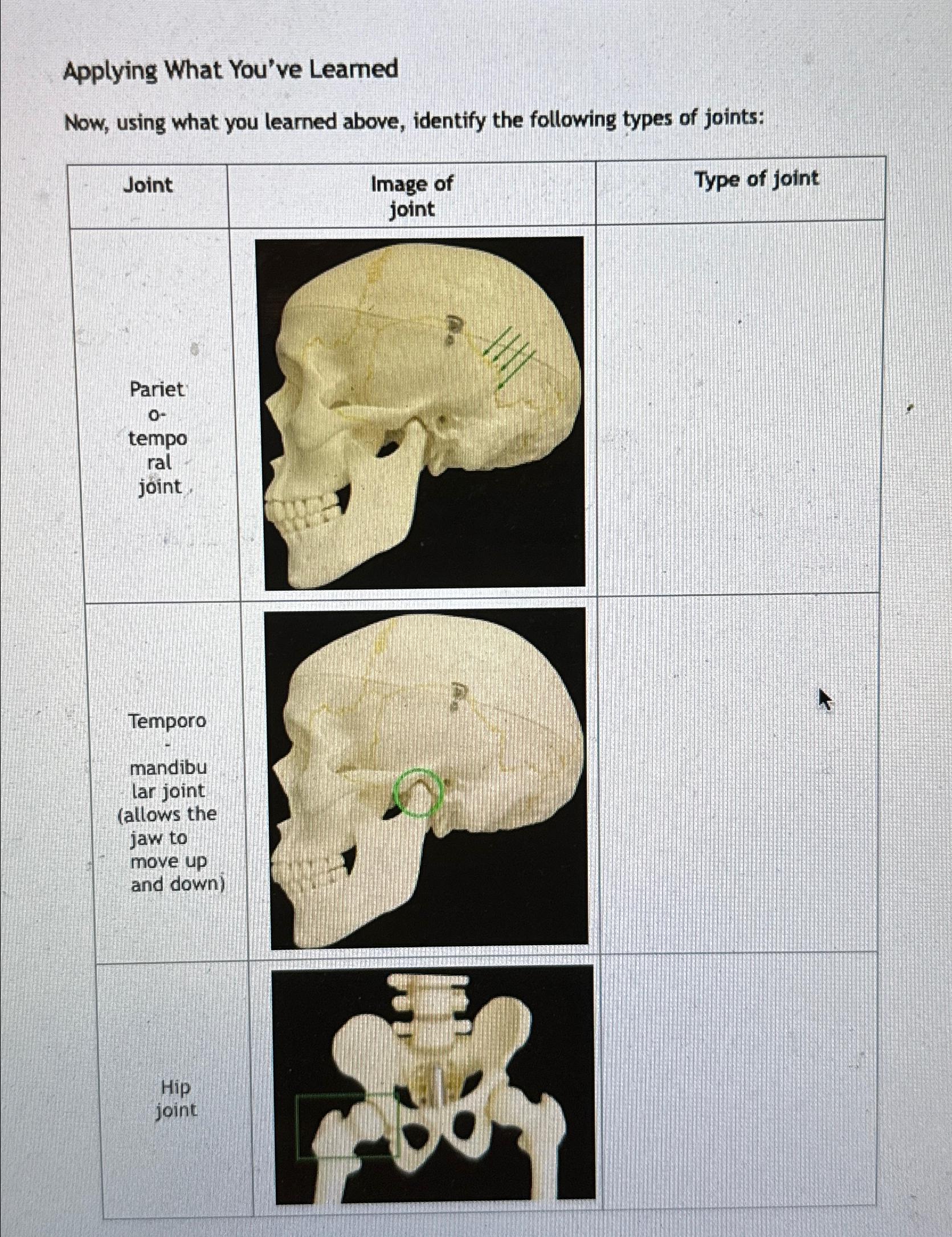 Solved Applying What You've LeamedNow, using what you | Chegg.com