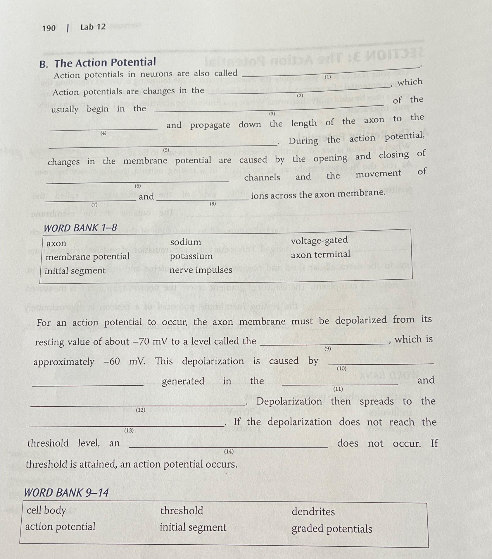 Solved 190Lab 12B. ﻿The Action PotentialAction potentials in | Chegg.com