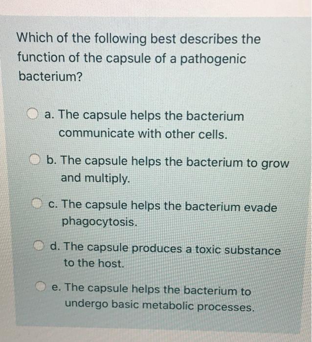 Solved The Lancefield classification categorizes most | Chegg.com