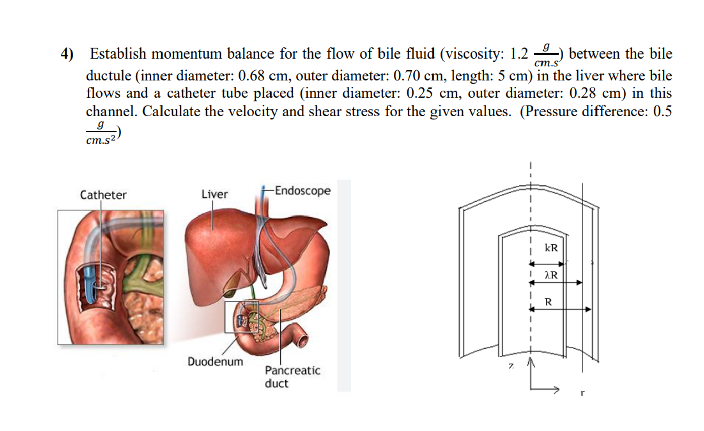 Solved Establish momentum balance for the flow of bile fluid | Chegg.com