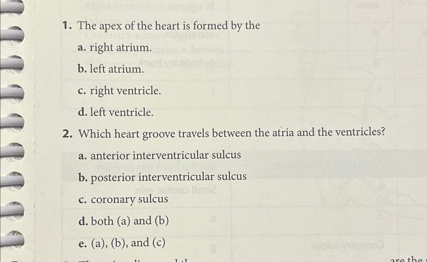Solved The apex of the heart is formed by thea. ﻿right | Chegg.com