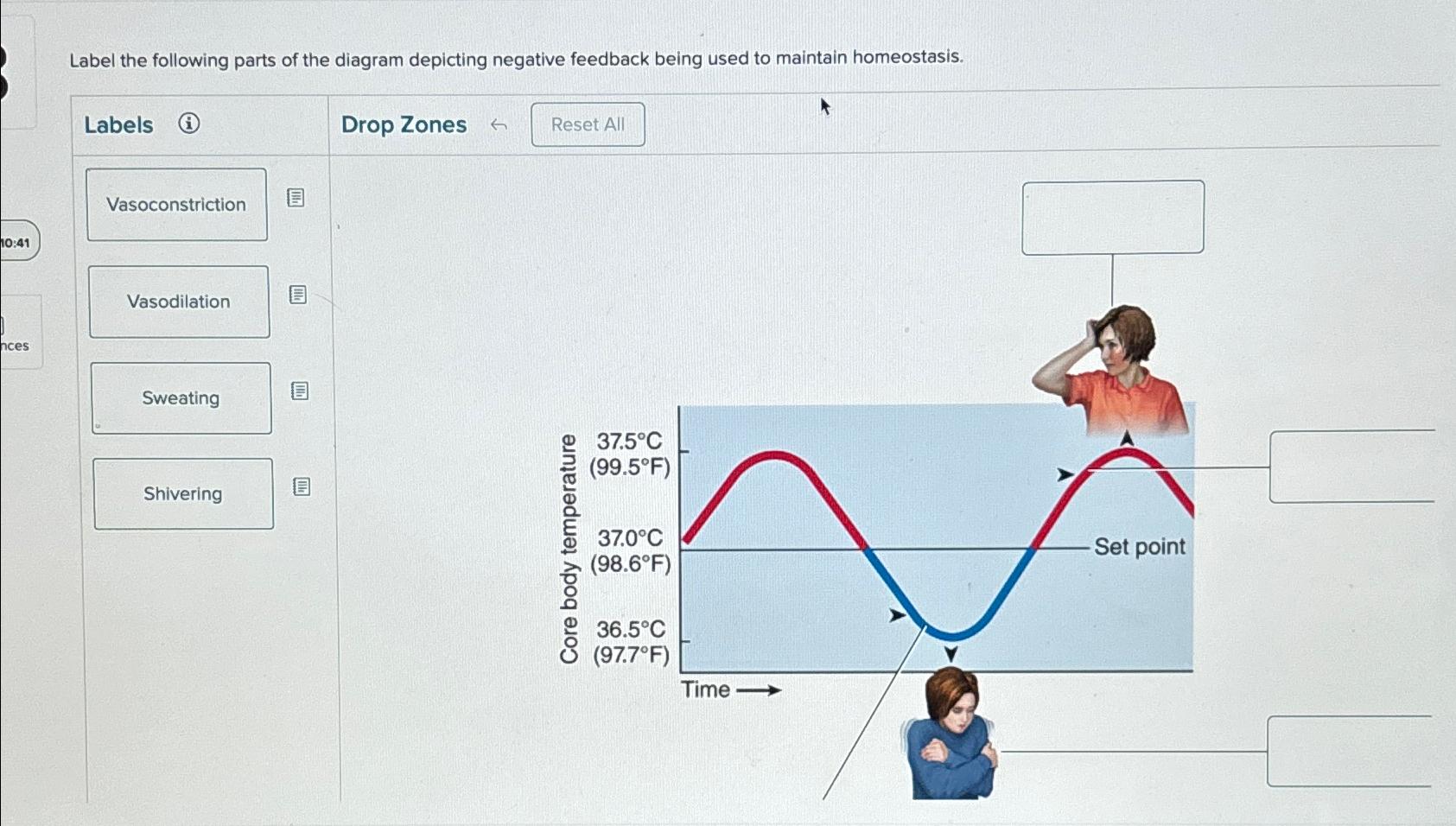 Solved Label the following parts of the diagram depicting | Chegg.com