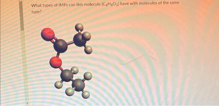 Solved What types of IMFs can this molecule (C4H2O2) have | Chegg.com