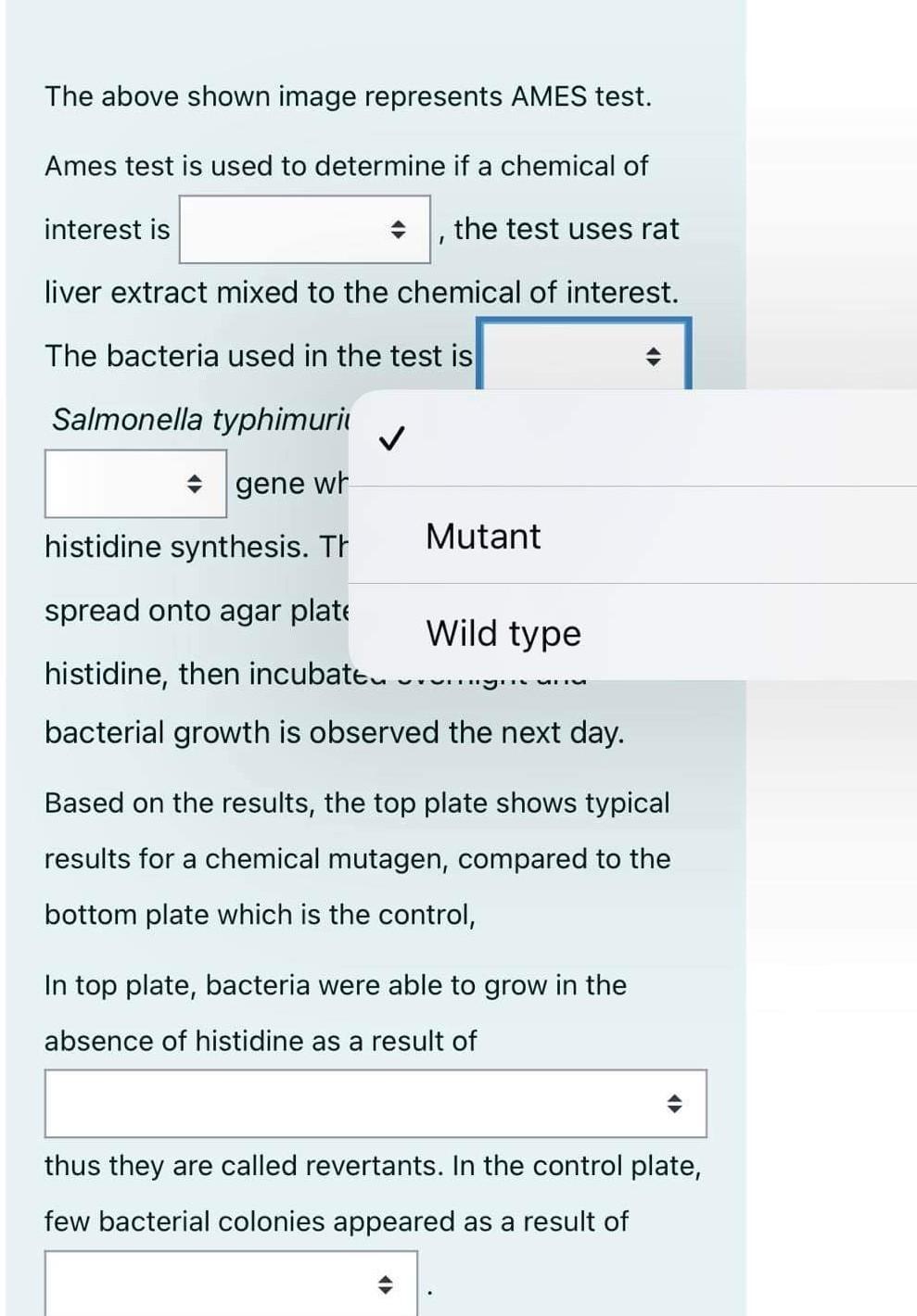 Solved The above shown image represents AMES test. Ames test | Chegg.com