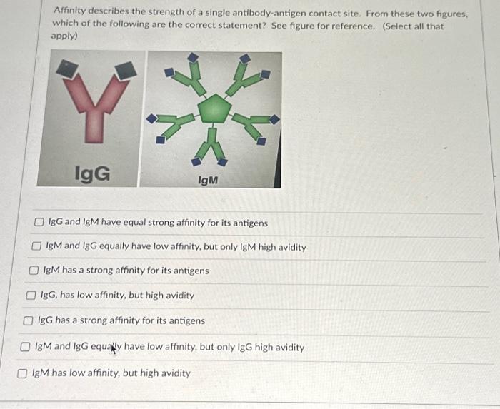 Solved Affinity describes the strength of a single | Chegg.com