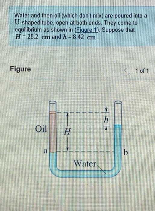 Solved Water and then oil (which don't mix) are poured into | Chegg.com