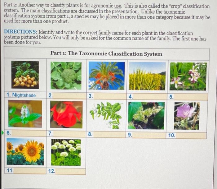 Solved Part 2: Another way to classify plants is for | Chegg.com