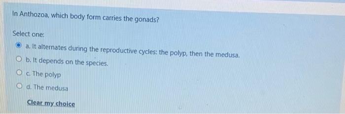Solved In Anthozoa, which body form carries the gonads? | Chegg.com