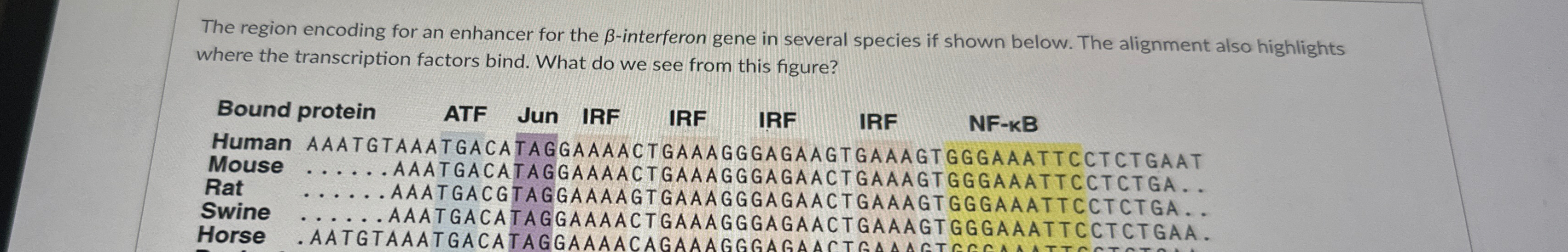 Solved The region encoding for an enhancer for the | Chegg.com