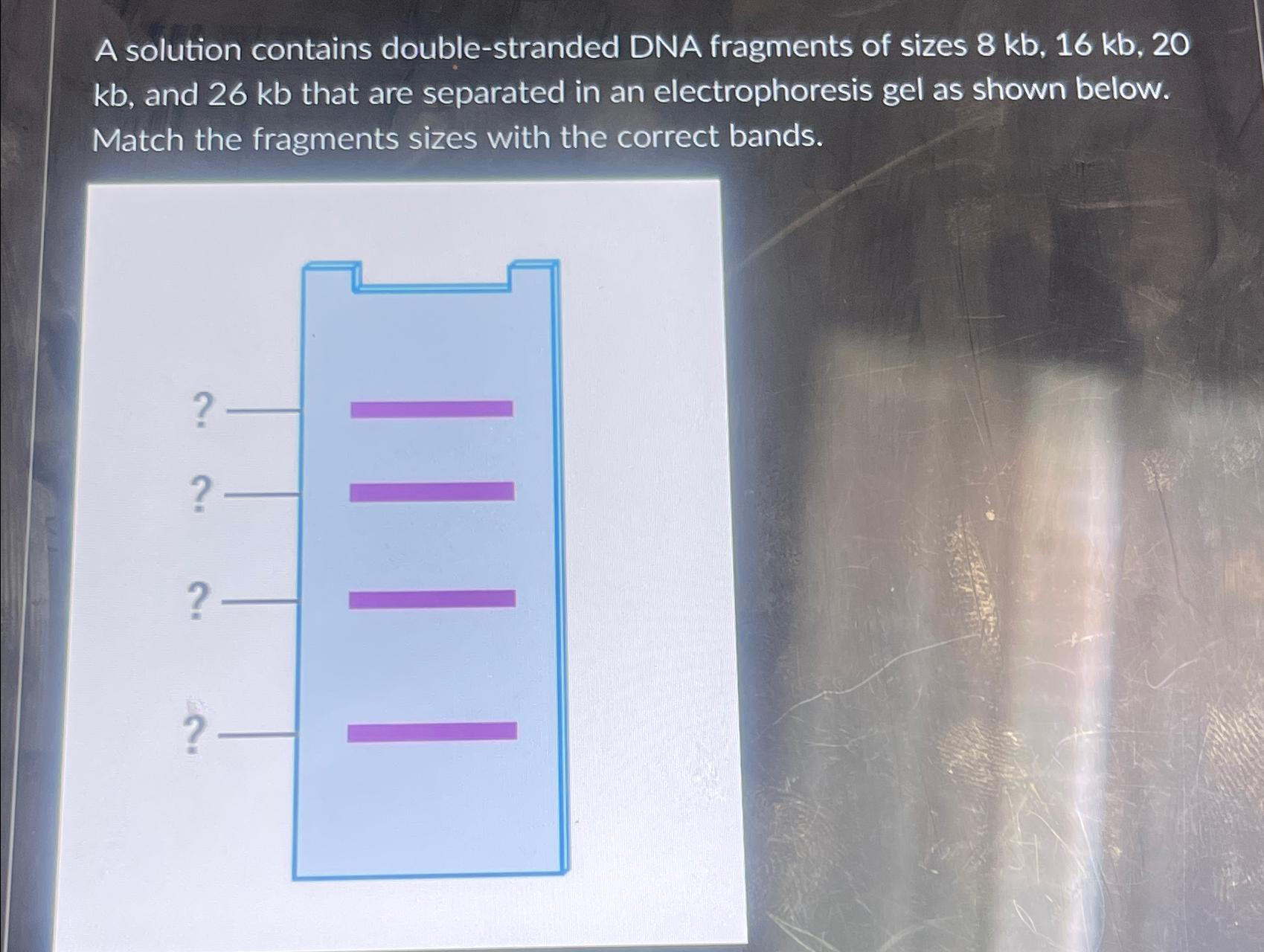 Solved A solution contains double-stranded DNA fragments of | Chegg.com
