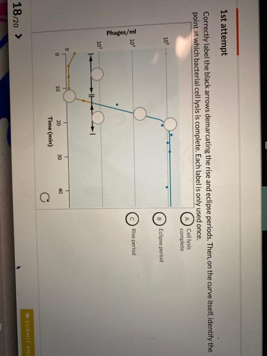 Solved 1st attempt Sort the following viruses into the | Chegg.com