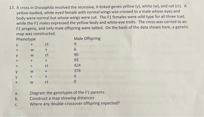 Solved 13. A cross in Drosophila involved the recessive, | Chegg.com