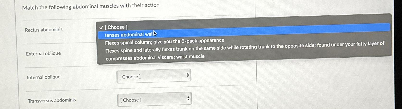 Solved Match the following abdominal muscles with their | Chegg.com