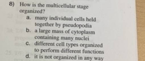 Solved How is the multicellular stage organized?a. ﻿many | Chegg.com