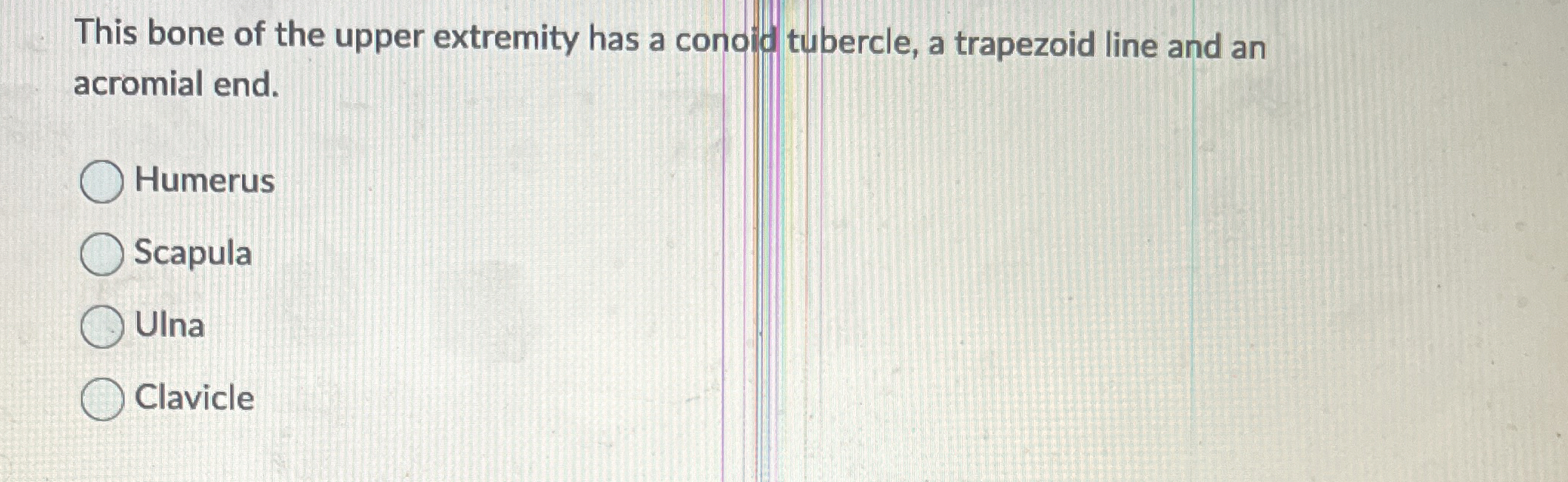 Solved This bone of the upper extremity has a conoid | Chegg.com