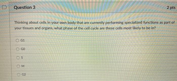 Solved Question 3 2 pts Thinking about cells in your own | Chegg.com