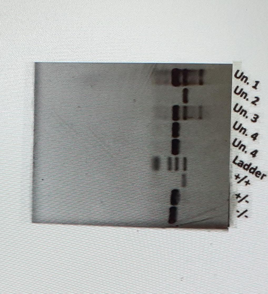 Solved led from Biorad PV92 PCR Informatics Manual, Rev. F) | Chegg.com